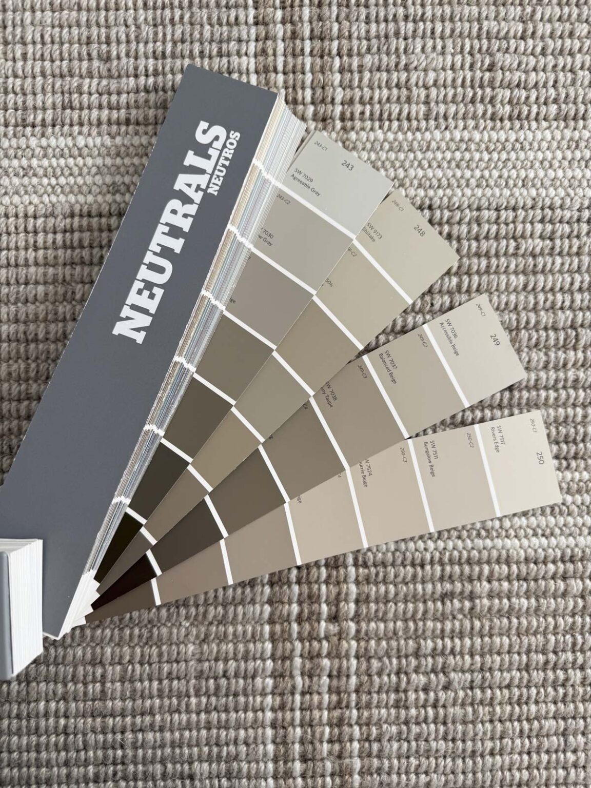 How To Use Accented Neutral Color Scheme in Your Interior Design - A ...
